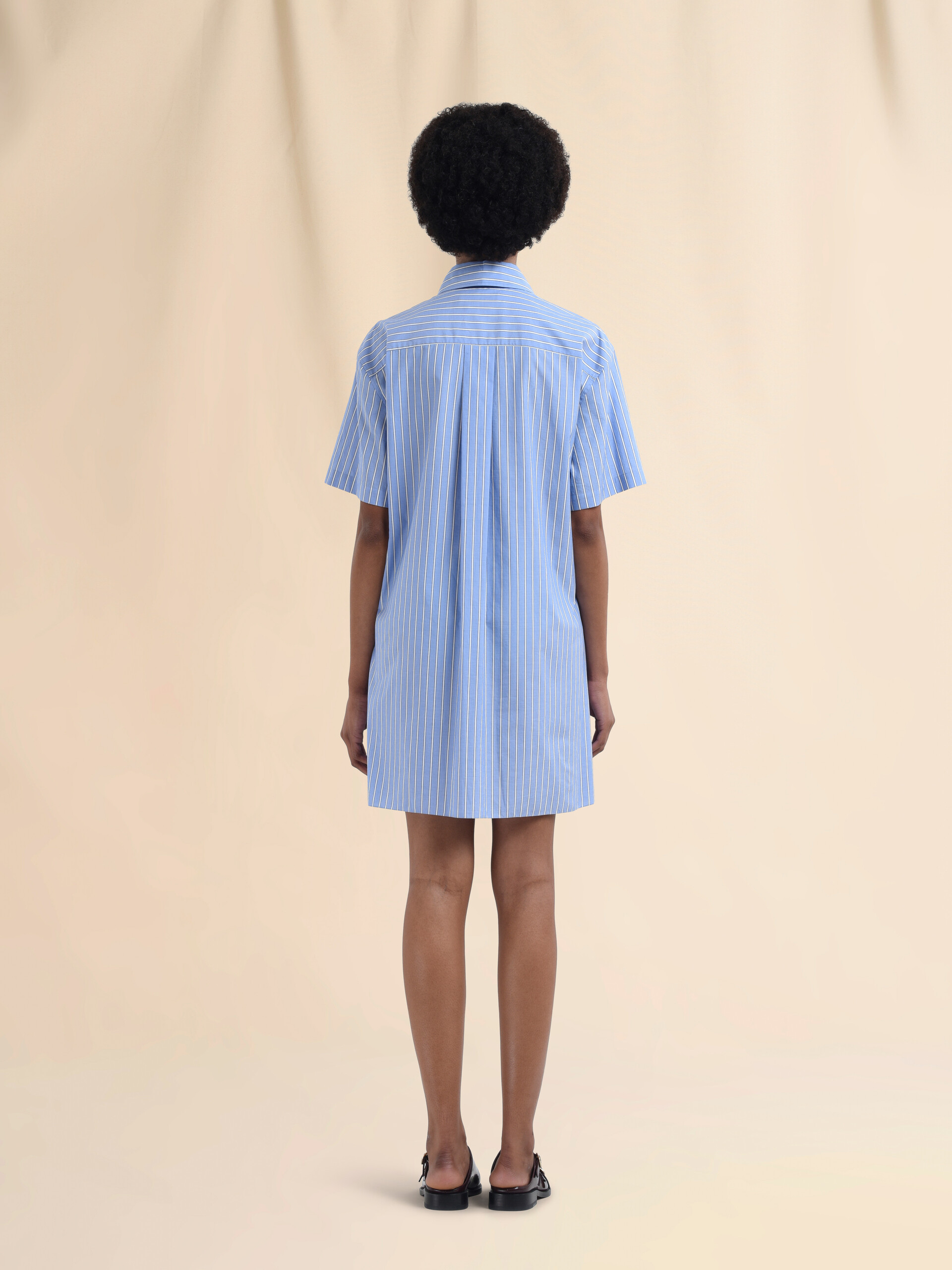 Robe chemise en popeline rayée bleue | Marni